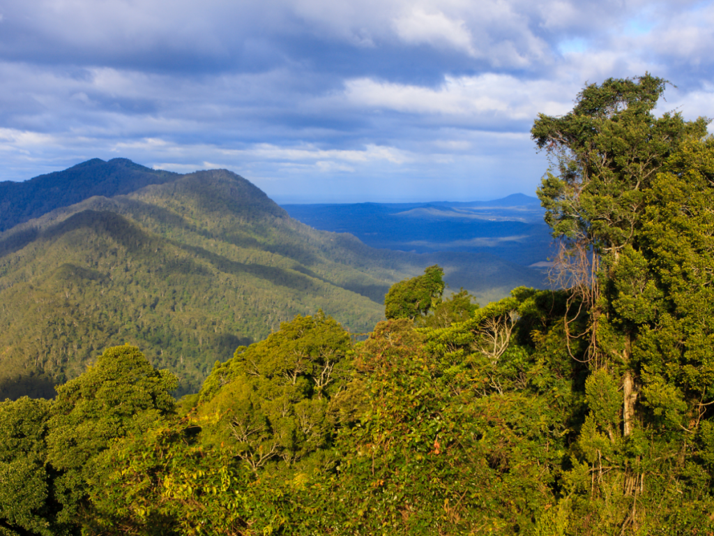 Things to do on Tamborine Mountain - Wineries, Waterfalls and more ...